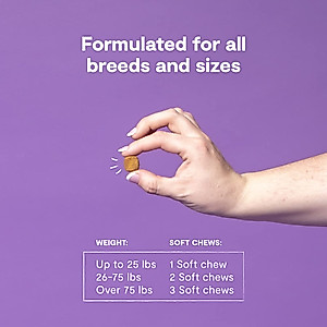 Open Farm Hip & Joint Chews, Dog Supplement, Dog Vitamins, Supports Joint Health and Mobility Using Traceable and Vet-Approved Ingredients, 12.7 oz, 90 Count