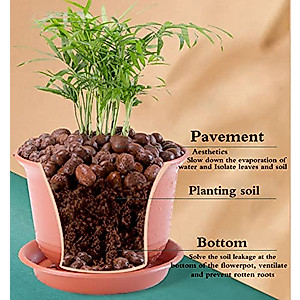 11LB Organic Expanded Clay Pebbles,for Soil Hydroponic Rocks Orchids,Indoor Plants,Succulents (11)