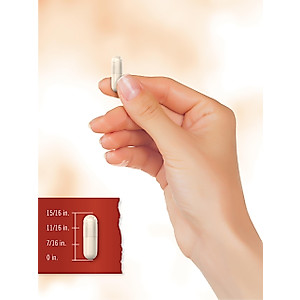 Carlyle Prebiotic, Probiotic & Postbiotic | 25 Billion CFU | 50 Powder Pills | Men and Women's Digestive Health | Vegetarian and Non-GMO Supplement