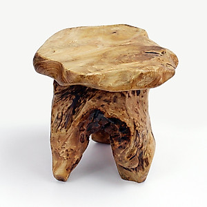 WELLAND Mushroom Seat Stool, Cedar Wood Flower Root/Stand
