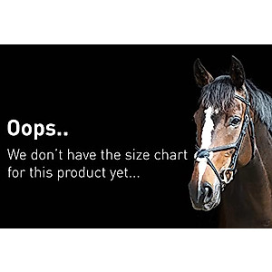 HORZE Pastern Wraps - Black - One Size