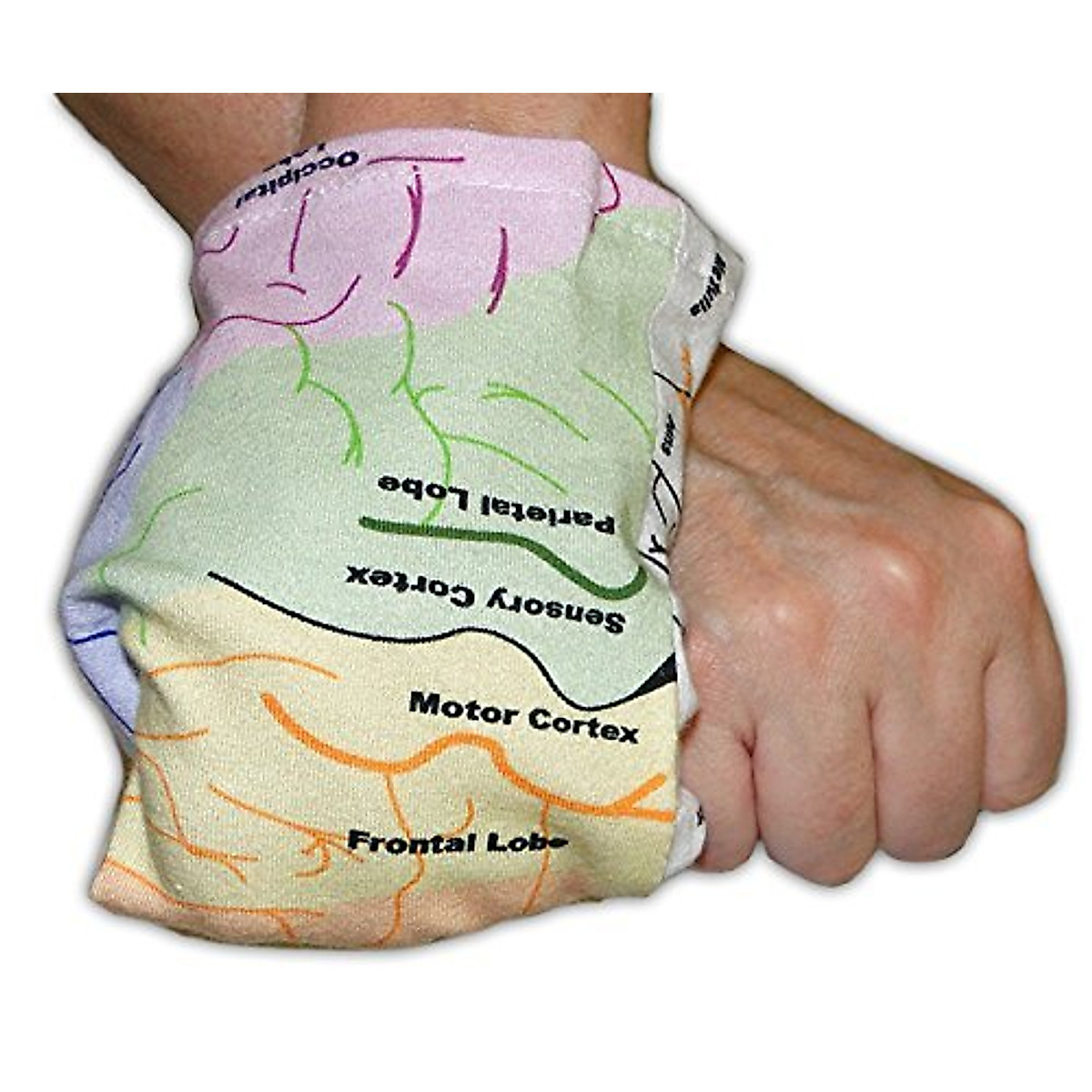 Handy Brain Model B-2 (large)