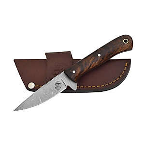 Knives Ranch 7" Fixed Blade EDC Knife with Sheath - Damascus Steel Hunting Knife - Full Tang - Rosewood Handle - Horizontal Carry Leather Sheath Snug Fit (3056-IRW)