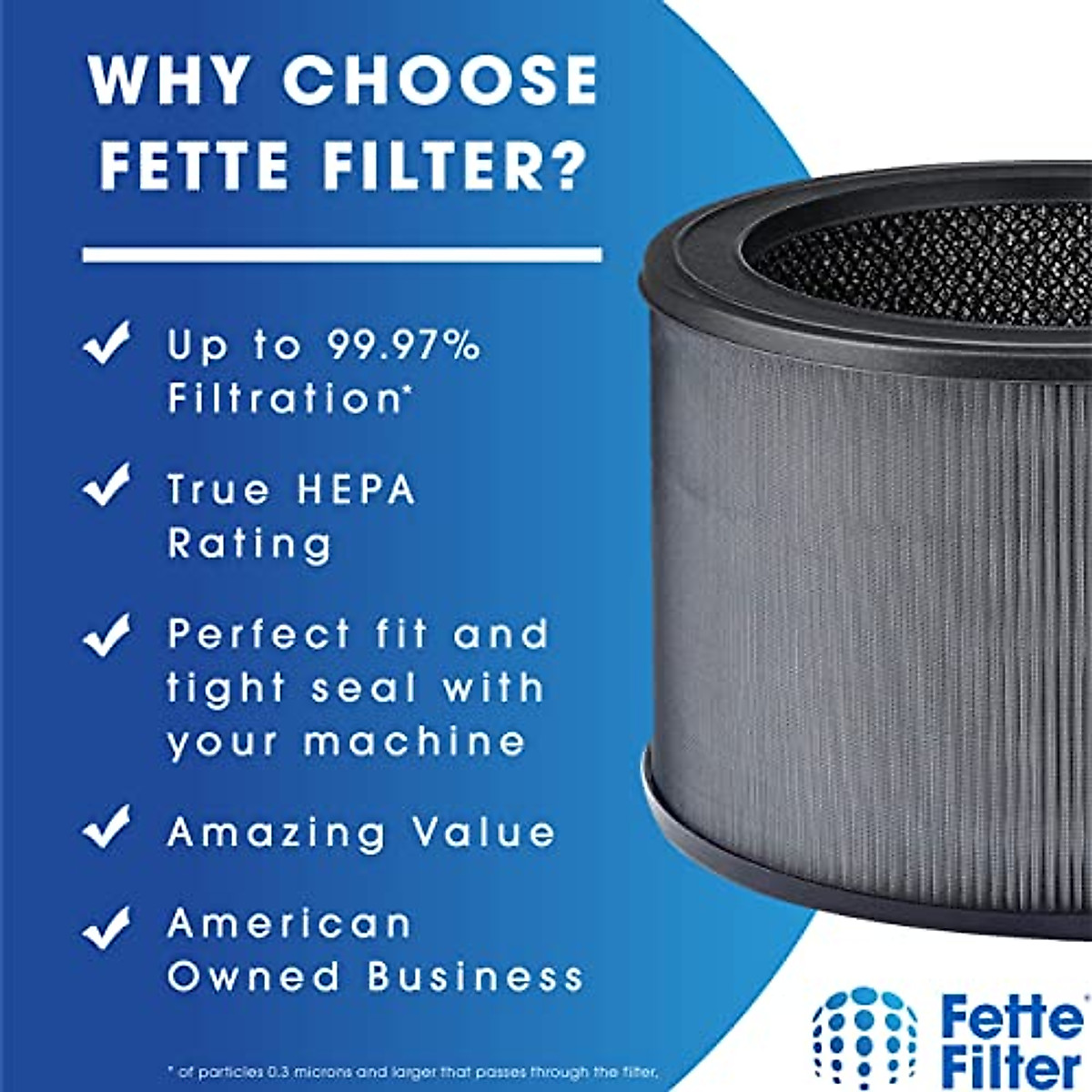 Fette Filter - 2 Premium True Hepa H13 Replacement Filter Size O Compatible with Winix Air Purifier Model A230 A231 Compare to Part # 1712-0110-00, 1712011000