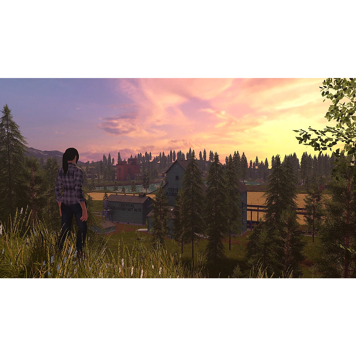 Farming Simulator 17 - PC