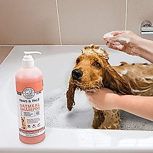 6-in-1 Dog Shampoo and Conditioner for Itchy Skin, Made in USA - 20oz Vet Formula Natural Medicated Best for De-Shedding, Itch Relief, Smelly Odor, Dry Sensitive Skin - Dogs & Cats Oatmeal Pet Wash