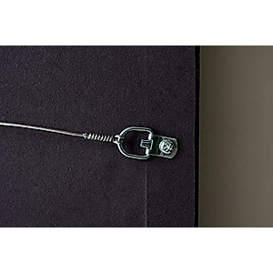 Hampton Beach, New Hampshire, Welcome to Our Beach House, Seashells (36x24 Framed Gallery Wrapped Stretched Canvas)