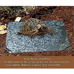 Linifar Turtle Basking Rock Tortoise Bathing Plate Reptile Platform Dish Habitat Accessories Supplies for Gekko Bearded Dragon Squirrel Hedgehog