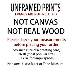 Baby Girl Nursery Wall Art Sunflowers Floral Crown Safari Animals Elephant Giraffe Lion Zebra Room Decor 4 UNFRAMED PRINTS