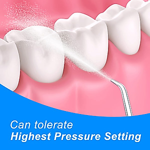 Flosser Replacement Tips for Waterpik Water Flosser, Flosser Refill Heads Replacement Heads for waterpik, Compatible with Waterpik Oral Irrigator & Dental Flosser(6 Classic Jet Tips)…