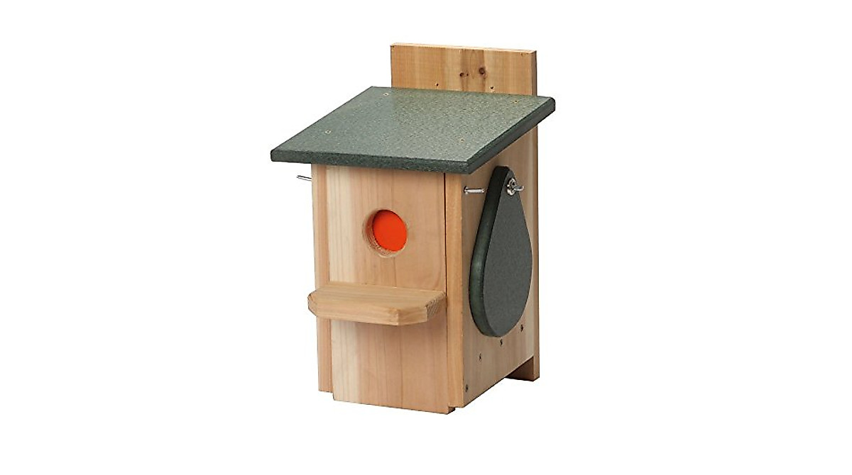 Ravenox Sparrow & Starling Trap – Safe Bird Elimination