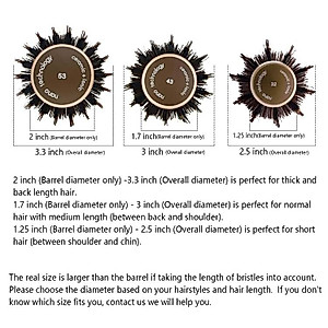 FIXBODY Boar Bristles Round Hair Brush, Nano Thermal Ceramic & Ionic Tech, Roller Hairbrush for Blow Drying, Curling, Straightening, Add Volume & Shine (3.3 inch, Barrel 2 inch)