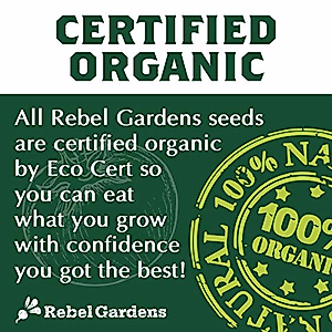 Organic Edible Flower Seeds - Non GMO Variety Pack for Planting Outdoors - Nastrurtium, Lavender, Borage, Chives, Chamomile, Clendula