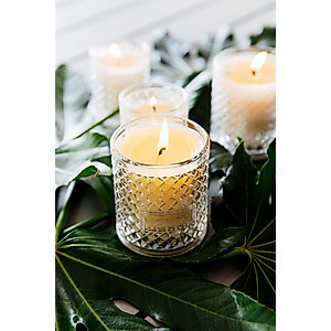 AGRARIA Scented Candles, Long-Lasting Premium Soy Wax Candles, Vegan, Scented Candles for Home, Elegant Home Fragrance Scented Candles Gifts, 7oz