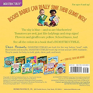 Indestructibles: Baby, See the Colors!: Chew Proof · Rip Proof · Nontoxic · 100% Washable (Book for Babies, Newborn Books, Safe to Chew)