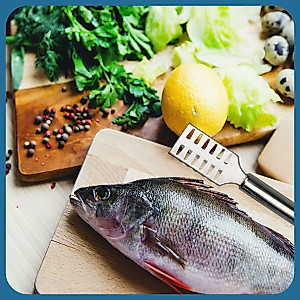 Fish Scaler Stainless Steel Fish Scaler Remover No Mess Easily Remove Fish Scales,Fish Skin Scraper for Kitchen Fish Cleaning Kit,Fish Descaler Tool Suitable for All Fish,with One Glove… (Large)