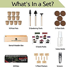 Meekear 5 Bonsai Tree Seeds with Complete Growing Kit & Wooden Flower Box Starter Kit, Great Potted Growing DIY Gift for Adults