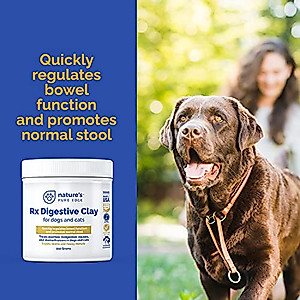 Rx Clay for Digestion for cat and Dog Stomach Relief. Cat and Dog Anti Diarrhea Medication. Cat and Dog Stomach Upset Medicine for cat and Dog Diarrhea. Extra Large 210 Grams. Veterinary Grade.