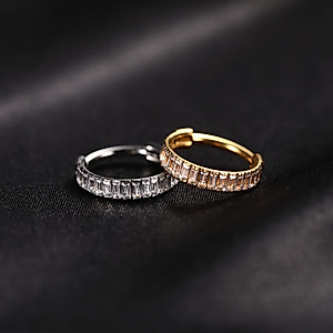 FUNLMO Surgical Steel Hinged Segment Ring CZ Conch Helix Septum Piercing Jewelry Nose Rings Hoops Cartilage Lobe Huggie Earring Small Hoop Earring16G 8mm Gold