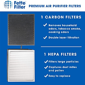 Fette Filter - FLT9200 True Hepa H13 Air Purifier Filter H and Carbon Combo Pack Compatible with FLT9200 for AC9200 AC9200WCA Air Purifier 1 True HEPA & 1 Carbon Filter Included.
