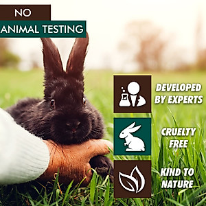 Tea Tree Oil Body Wash - Helps Athletes Foot, Ringworm, Jock Itchy, Acne, Eczema, Yeast Infection, Body Odor, Itchy Skin - With Moisturizing Aloe - Sulfate Free - 16oz