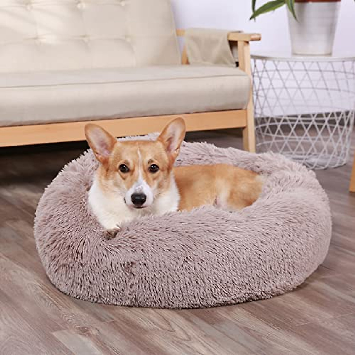 HACHIKITTY Dog Beds Calming Donut Cuddler, Puppy Dog Beds Large Dogs, Indoor Dog Calming Beds Large,30''