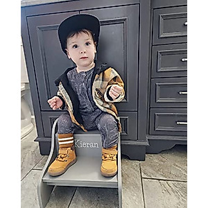 Dibsies Step Stool with Storage (Pink)