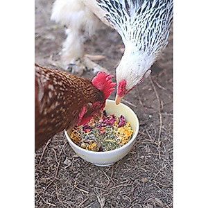 Pampered Chicken Mama Backyard Chicken Nesting Herbs for Great Eggs 10 oz - All-Natural Backyard Chicken Feed Supplies - Hen Treats for The Best Eggs Ever - High Calcium Supplement for Chickens