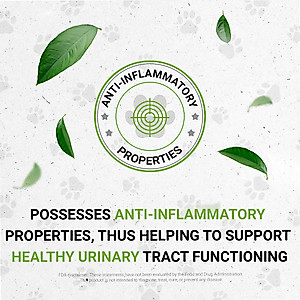 Lion's Urinary | Natural Herbal Dietary Supplement for Cats | Healthy Urinary System Support in Cats | Alcohol-Free Extract, Uva Ursi, Cranberry, Parsley Leaf, Dandelion Leaf, Stone Root 2 oz