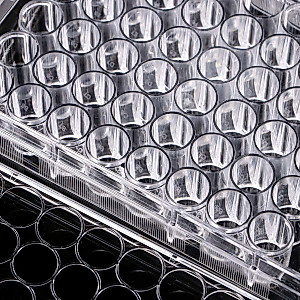 UKCOCO Plastic Premium Culture Plate 48 Well Cell Culture Plate for Lab