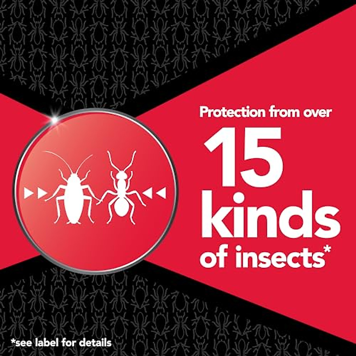 Raid MAX Perimeter Protection, 1 Gallon, Indoor & Outdoor Insecticide Spray with Reusable Electric Sprayer