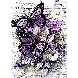 5d Diamond Painting Kits for Adults,Full Drill Diamond Art Animals Butterfly Rhinestone Painting with Diamonds Pictures Arts and Crafts for Home Wall Decor（12x16 Inch）