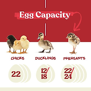 Manna Pro Harris Farms Nurture Right Egg Incubator for Hatching Chicks - Holds 22 Eggs - Automatic Egg Turner with Temperature and Humidity Control - 360 Degree View With Clear Window