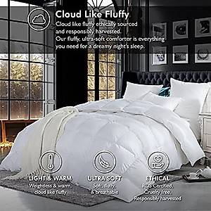 Luxurious Full/Queen Size Goose Down Feather Fiber Comforter Duvet Insert, Ultra-Soft 100% Egyptian Cotton Cover, 60 oz. Fill Weight, All-Season White Solid Comforter