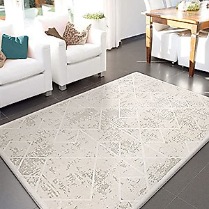 Leesentec Area Rugs Moroccan Geometric Stripe Rug for Living Room Bedroom Floor Mat Washable Rug Soft Non-Slip Carpet Imitation Cashmere Indoor Rugs Home Decor (YR22, 2' 7" x 3' 11" Rectangular)