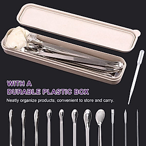 Swpeet 74Pcs Stainless Steel Micro Lab Scoop Spoon Lab Spatulas with 3ML Plastic Transfer Pipettes Kit, Pill Filler Tamper Tool Micro Spatula Steel Spoon Reagent Mixing Spatula Long Sampling Spoon