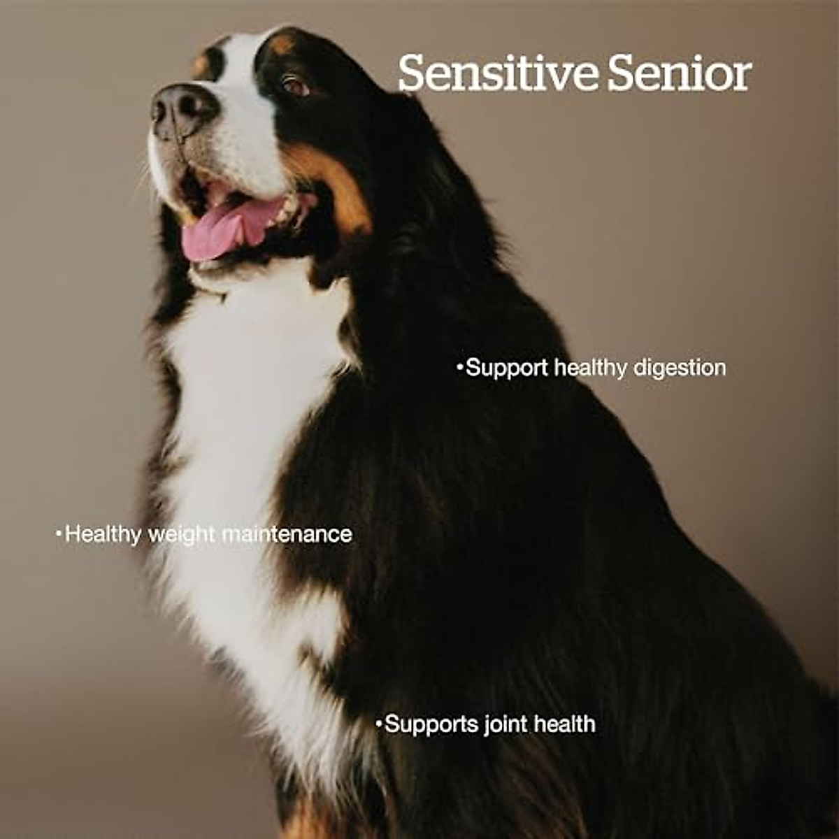 Now Fresh Grain-Free, Dry Dog Food, Real Meat and Fish, Turkey, Salmon and Duck Large Breed Senior Recipe, 25 lb Bag