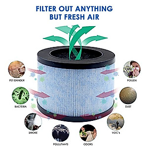 Flintar DH-JH01 True HEPA Replacement Filter, Compatible with AROEVE and Kloudi Air Purifier DH-JH01, Intelabe EPI080/EP1080, and Elechomes EPI081/EP1081, H13 Premium True HEPA Filter, 2-Pack