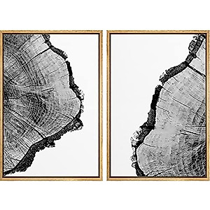 SIGNWIN Framed Wall Art Print Set Black & White Close Up Tree Ring Details Nature Wilderness Photography Modern Art Rustic Relax/Calm Multicolor for Living Room, Bedroom, Office - 24"x36"x2 Natural