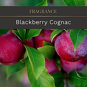 CLCo. by Candle-Lite Company Scented Candles, BlackBerry Cognac Fragrance, One 14 oz. Single Wooden Wick Aromatherapy Candle with 90 Hours of Burn Time, White Color