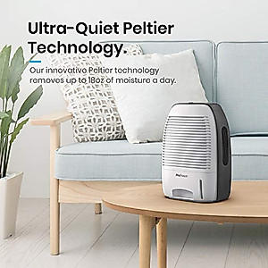 Pro Breeze Premium Electric Dehumidifiers for Bathroom Small, 2200 Cubic Feet (250 sq ft), 52oz Capacity, Compact and Portable for Humidity in Home, Basement, Bedroom, RV, Office, Garage - Dehumidifiers for Home