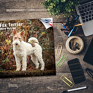 2023 2024 Wire Fox Terrier Calendar - Dog Breed Monthly Wall Calendar - 12 x 24 Open - Thick No-Bleed Paper - Giftable - Academic Teacher's Planner Calendar Organizing & Planning - Made in USA