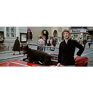 Hopscotch (The Criterion Collection) [DVD]