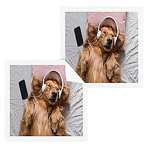 KEEPREAL 2 Pack Golden Retriever Dog Washcloths Set - Highly Absorbent Pure Cotton Wash Clothes - Soft Fingertip Towel for Bath, Spa