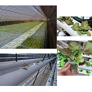 PRUNS 100Pack Hydroponic Sponge Hydroponic Seeds Planting Gardening Tool Sponges Moisturized Soilless Vegetables Cultivation Gardening Tools for Greenhouse Small Bud Growth or Grow Seedlings (2)