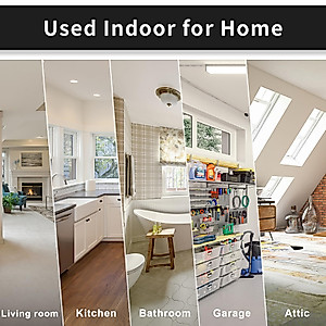 CATSH Rat Mouse Glue Traps Indoor for Home 12 Count - Mice Control Trap Large Size Waterproof Pre-Scented Super Hold Sticky Tray Non-Toxic