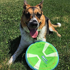 Chuckit Max Glow Paraflight Flying Disc Dog Toy, Large (9.75"), Green And White