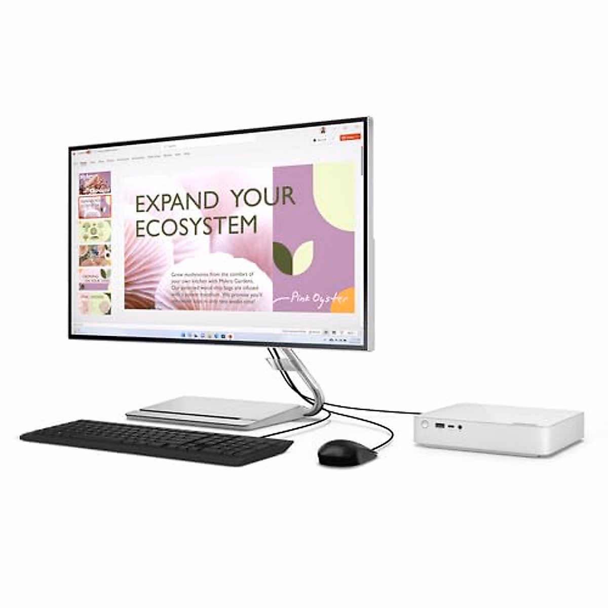 Lenovo 2024 IdeaCentre Mini Business Desktop 12-Core Intel Core i5-13500H Iris Xe Graphics 16GB DDR4 512GB NVMe SSD Thunderbolt 4 USB-C WI-FI AX BT HDMI2.1 DP RJ-45 Windows 11 Pro w/RE USB