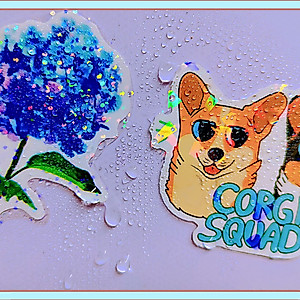 25 Sheets A4 Size (8.25”x11.7“）Holographic Sticker 5 Styles Mixed Clear Adhesive Laminted Film Holographic Overlay No need Machine