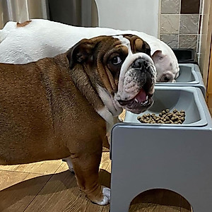 Fluff Through Elevated Dog Bowl for Large Dogs Food – Dog Feeding Station with Vet Approved & Non-Toxic Silicone Bowl Insert - Raised Dog Bowl for Large Dogs for Healthy Posture & Digestion (Gray)